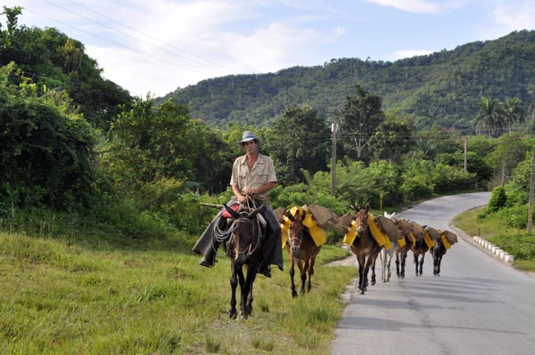 Manicaragua, ¡llegó tu momento! - Periódico Vanguardia